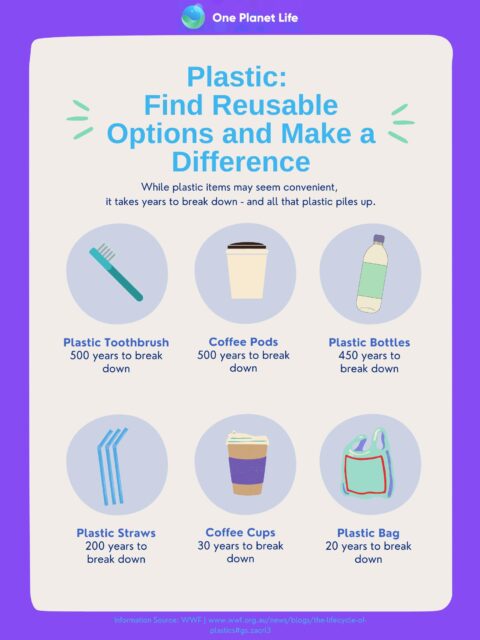 Save the Planet from Plastic Pollution, One Refill at a Time - One ...